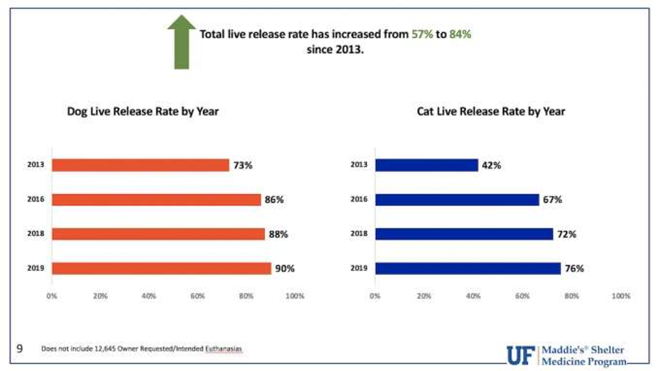 Florida Animal Shelters Set Life-Saving Record in 2019